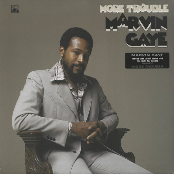 Marvin Gaye / マーヴィン・ゲイ / More Trouble (180g) – VOXMUSIC WEBSHOP